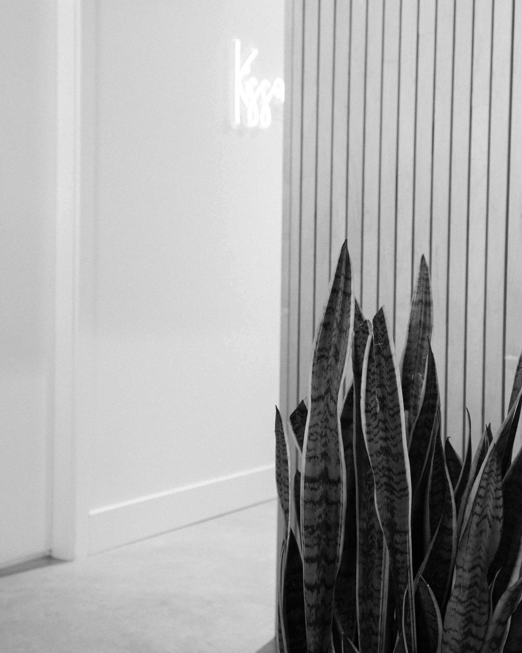 Viral TikTok Sunscreen: Must-Have for Glowing Skin | KOZA